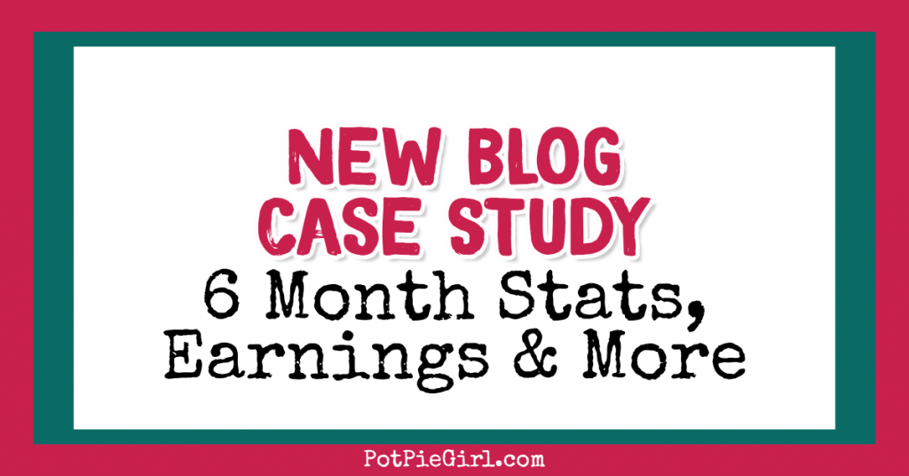 New Blog Case Study - My 6 Month Stats, Earnings and Details