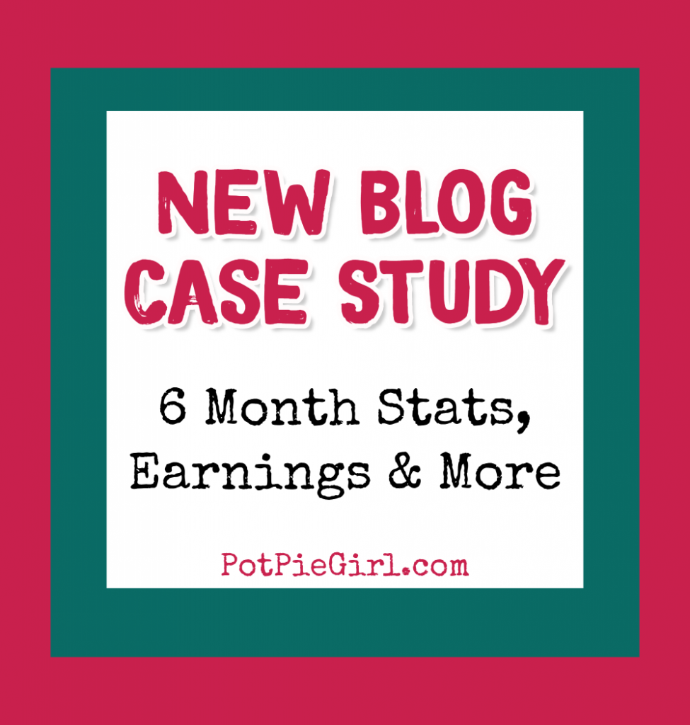 New Blog Case Study - My 6 Month Stats, Earnings and Details