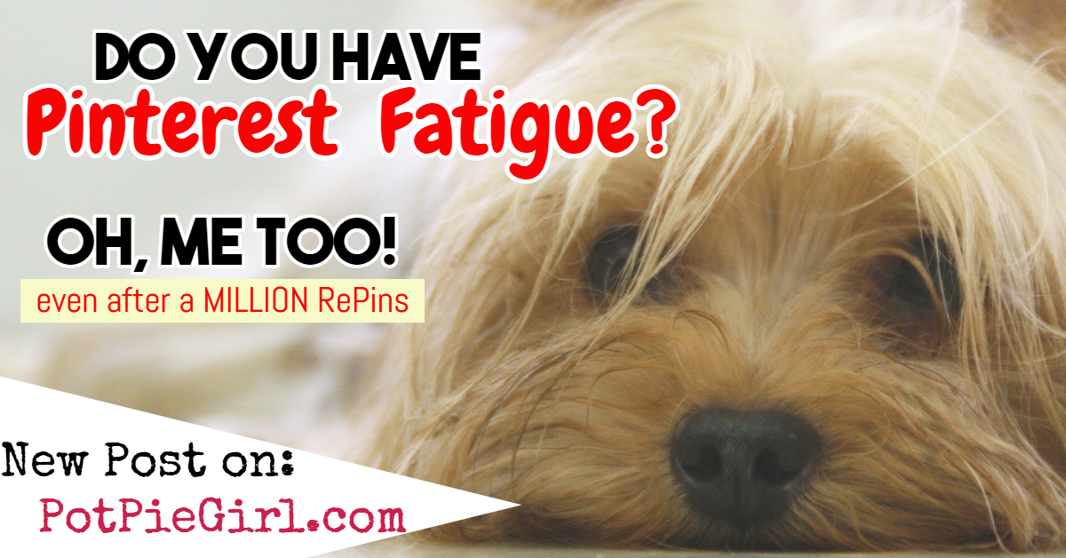 Pinterest Fatigue - I Have One MILLION RePins and STILL There's a Problem